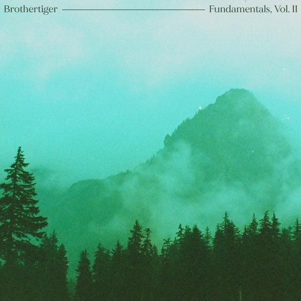 Brothertiger "Fundamentals, Vol. II" LP – Boro Records