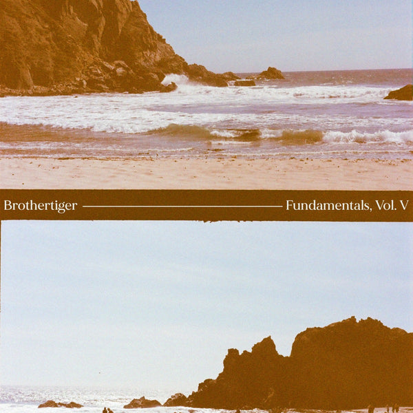Brothertiger "Fundamentals, Vol. V" LP – Boro Records